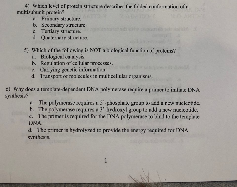 Solved 4) Which level of protein structure describes the | Chegg.com