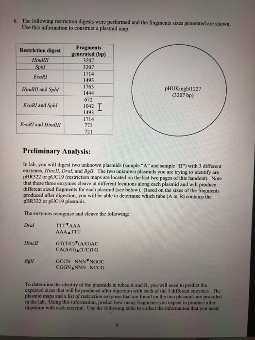 Solved 6. The following restriction digests were performed | Chegg.com