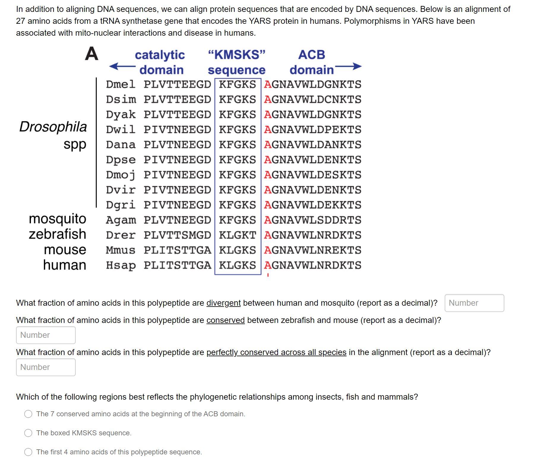 Solved In addition to aligning DNA sequences, we can align | Chegg.com