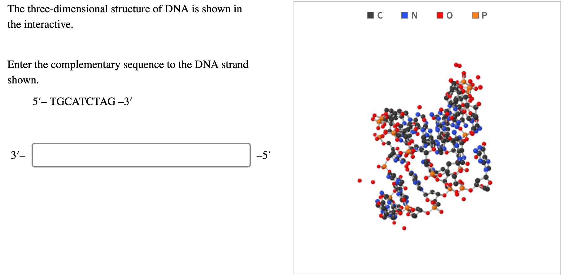 Solved The three-dimensional structure of DNA is shown in | Chegg.com