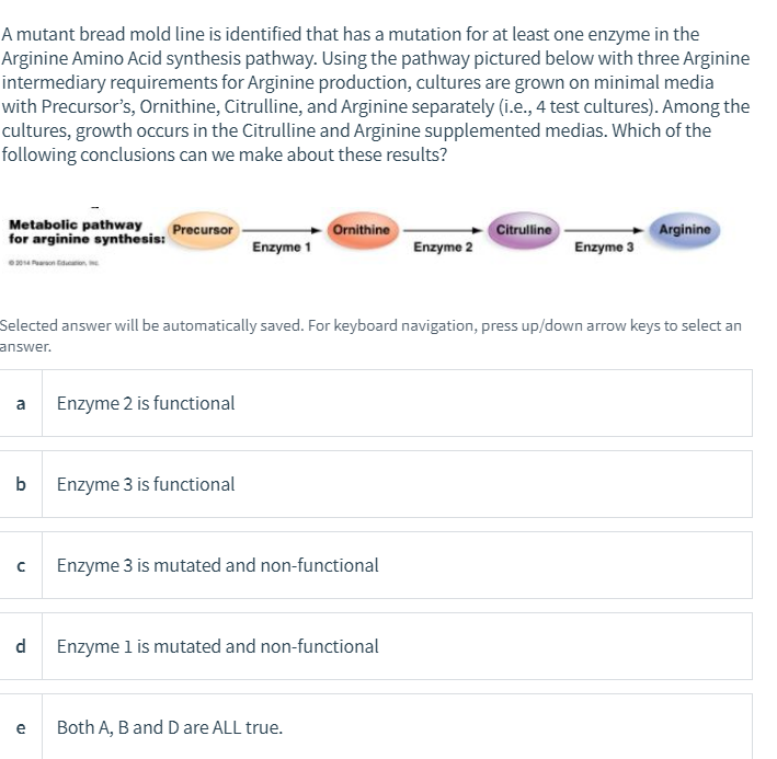 Solved A mutant bread mold line is identified that has a | Chegg.com