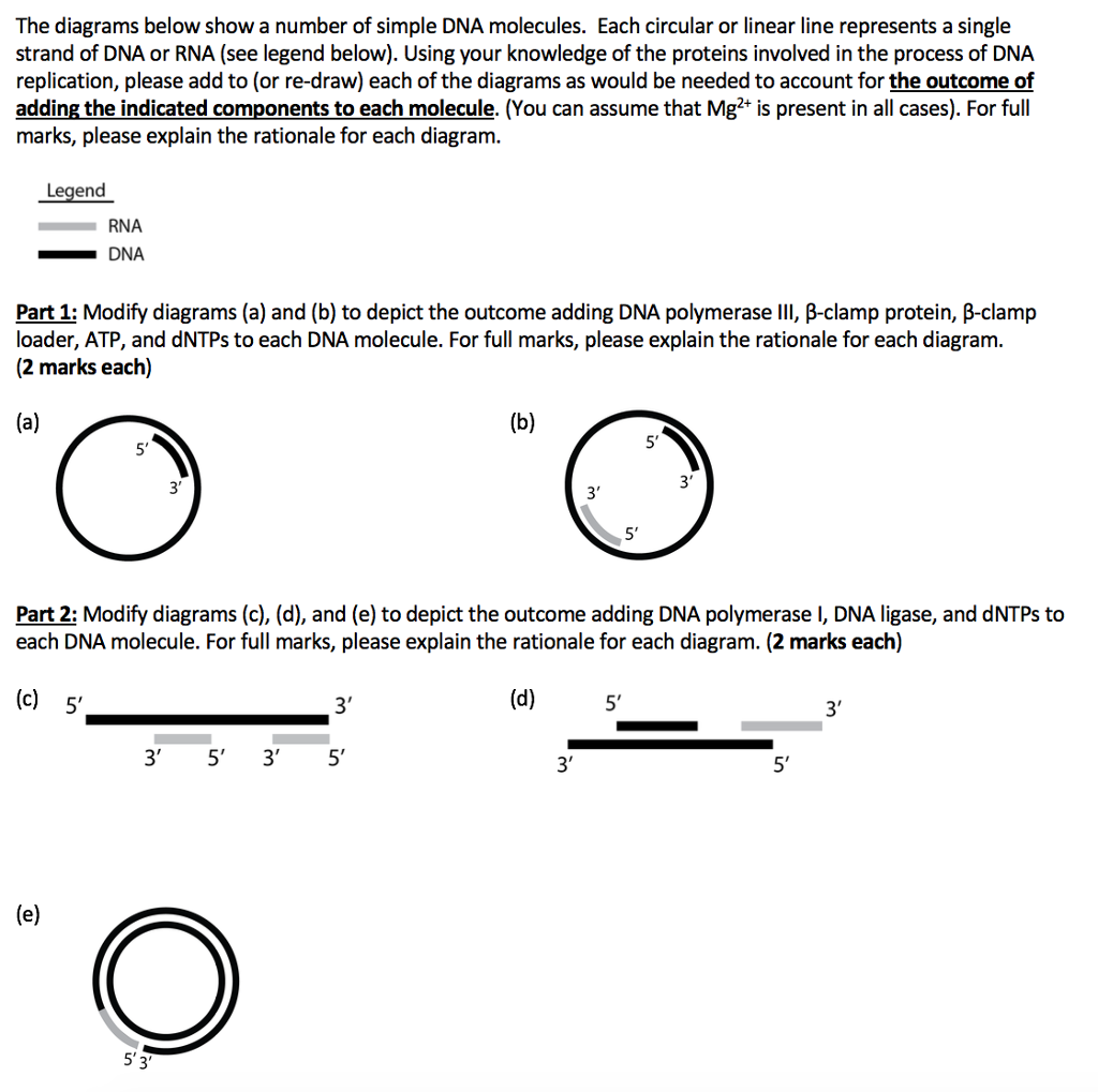 Solved The diagrams below show a number of simple DNA | Chegg.com