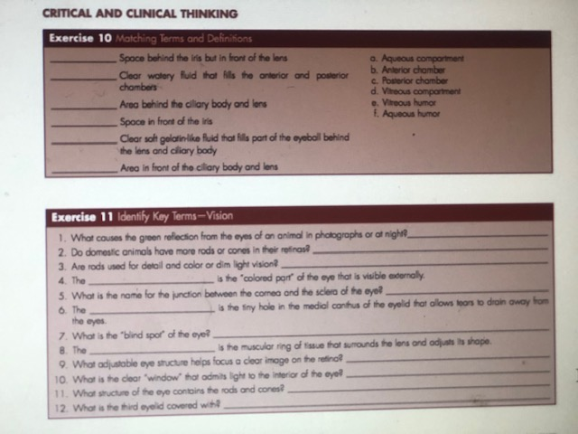 Solved CRITICAL AND CLINICAL THINKING Exercise 10 Matching | Chegg.com