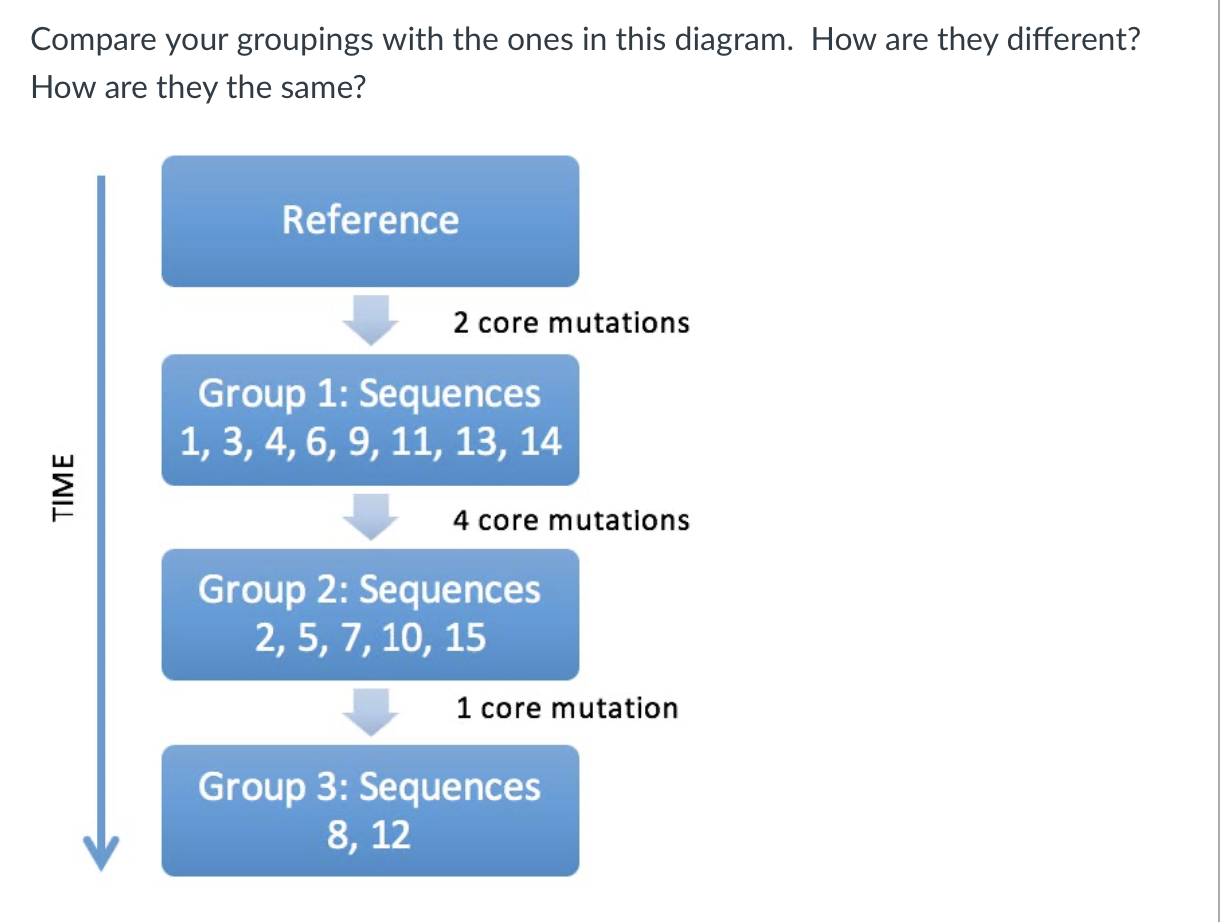 List the sequence groups you created using the Ebola | Chegg.com