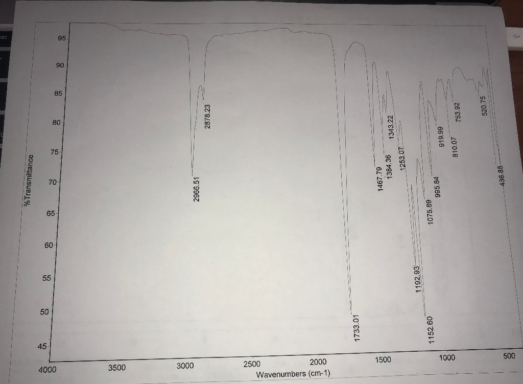 Solved Annotate the NMR and IR data below for Ester | Chegg.com