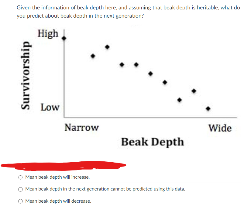 Solved Mean beak depth will increase.Mean beak depth in the | Chegg.com