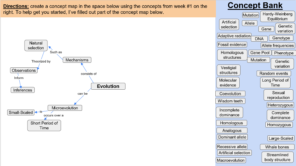 Directions: create a concept map in the space below | Chegg.com