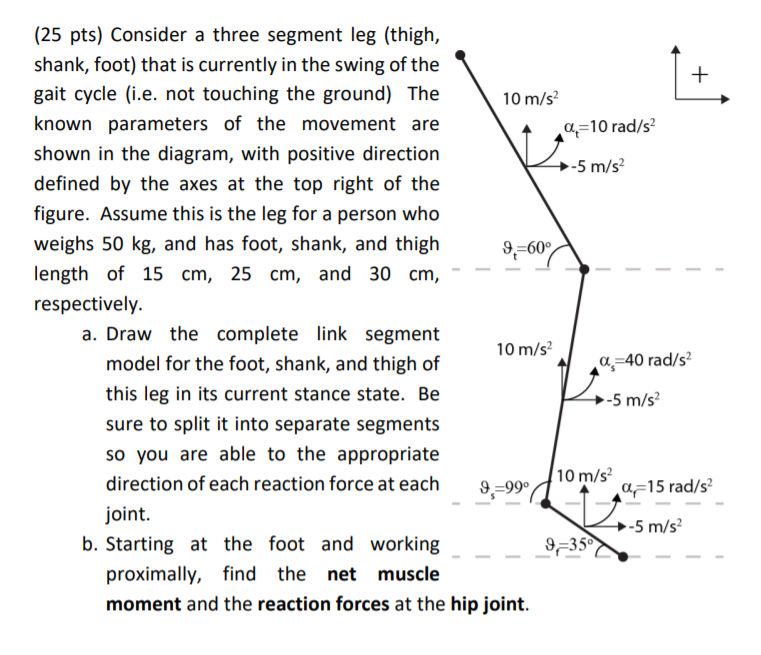 + (25 pts) Consider a three segment leg (thigh, | Chegg.com