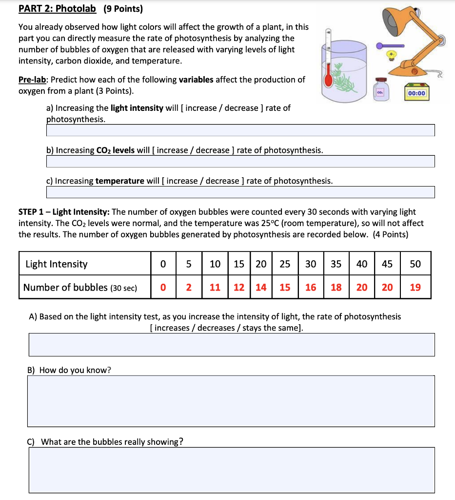 PART 1: BACKGROUND: Photosynthesis is the process in | Chegg.com