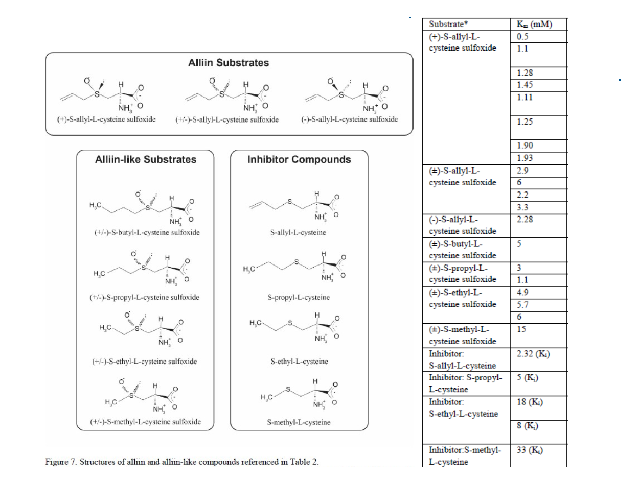 Figure 7. Structures of alliin and alliin-like | Chegg.com