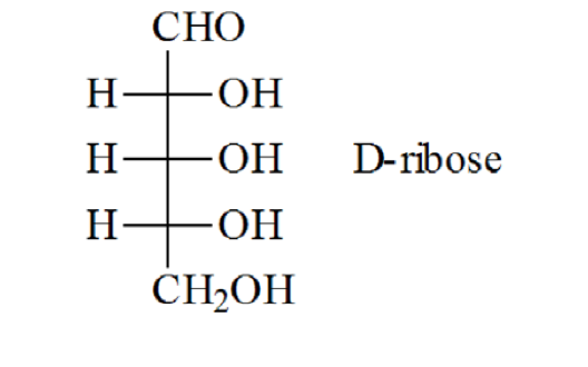 Solved Use arrow-pushing mechanism to convert the following | Chegg.com