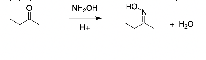 Solved NH5OH HO. N H+ + H2O | Chegg.com
