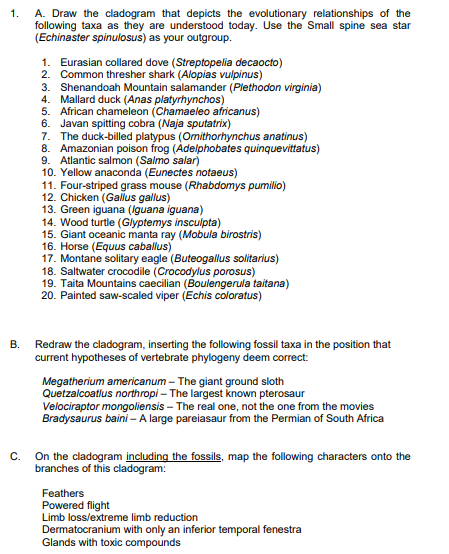 Solved 1. A. Draw the cladogram that depicts the | Chegg.com