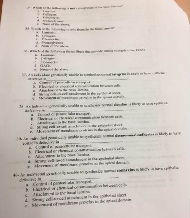 Solved 27-For both actin and microtubule filaments, | Chegg.com