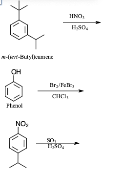 Solved HNO3 H2SO4 m-tert-Butyl)cumene OH Bry/FeBr3 CHCI | Chegg.com
