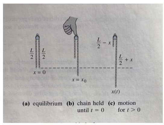 Solved Suppose a uniform chain of length L with weight | Chegg.com