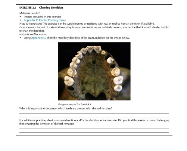 Solved EXERCISE 2.6 Charting Dentition Materials needed: • | Chegg.com