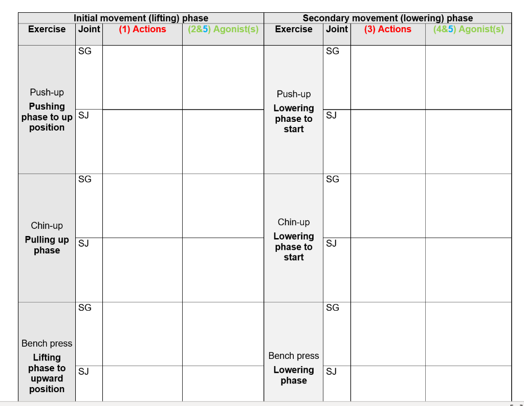 Solved Please help. Break exercise into two primary movement | Chegg.com