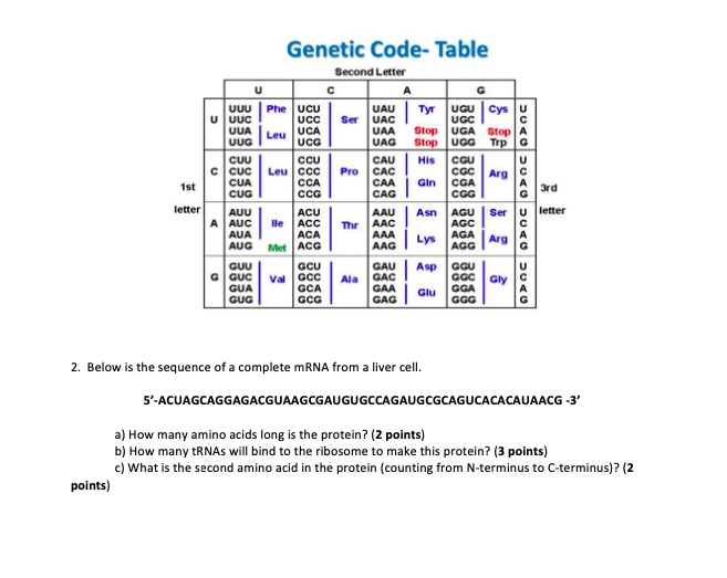 Solved Genetic Code- Table Second Letter А TY Ser Stop Stop | Chegg.com