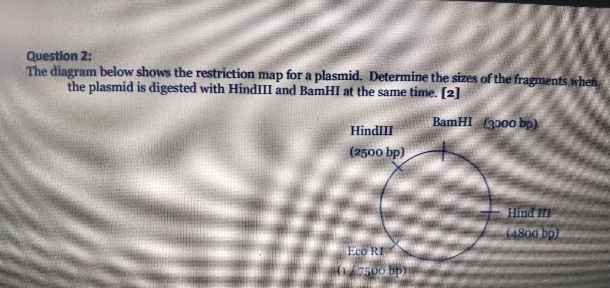 Solved Question 2: The diagram below shows the restriction | Chegg.com