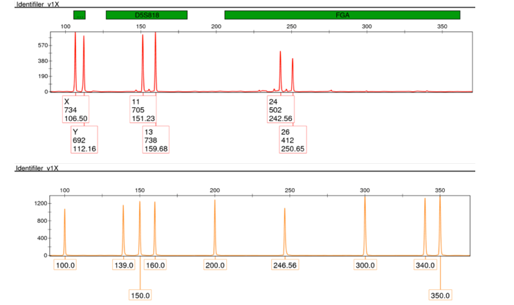 Solved a) Is DNA profile from a mixed sample? b) What locus | Chegg.com