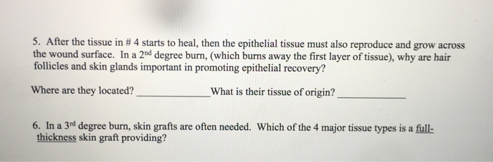 Solved 5. After the tissue in # 4 starts to heal, then the | Chegg.com