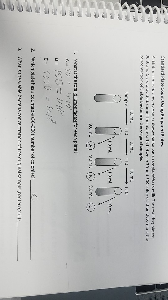 Solved Standard Plate Count Using Prepared Plates. A | Chegg.com