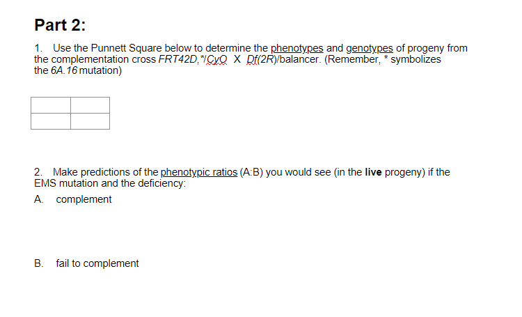 Solved Part 2:Use the Punnett Square below to determine the | Chegg.com