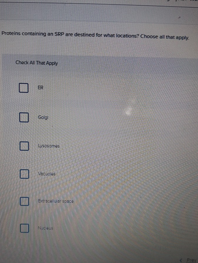 Solved Proteins containing an SRP are destined for what | Chegg.com