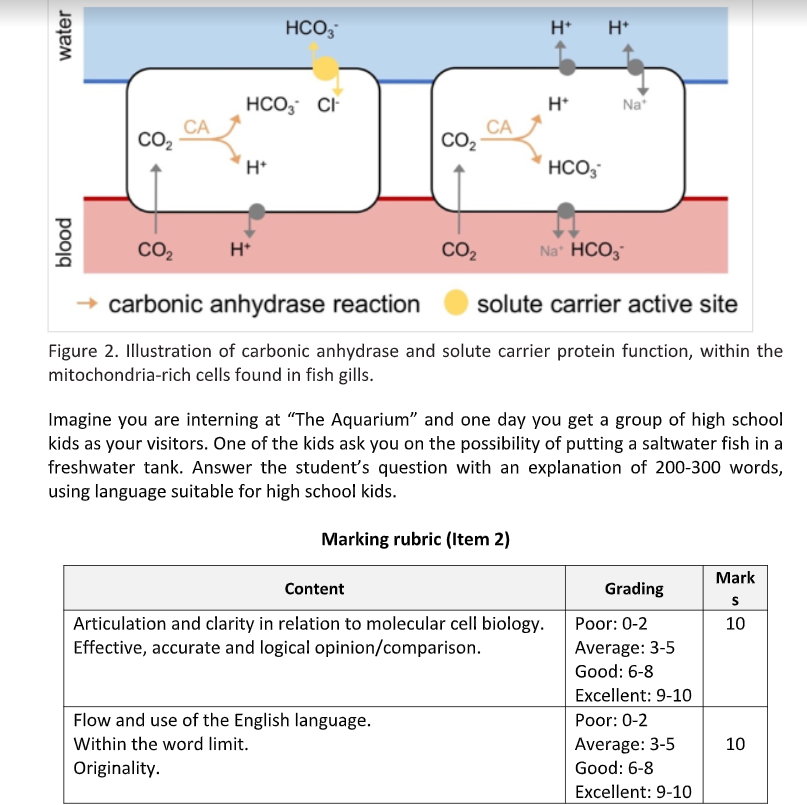 Solved ITEM 2 [20 marks) Figure 1 below depicts some of what | Chegg.com