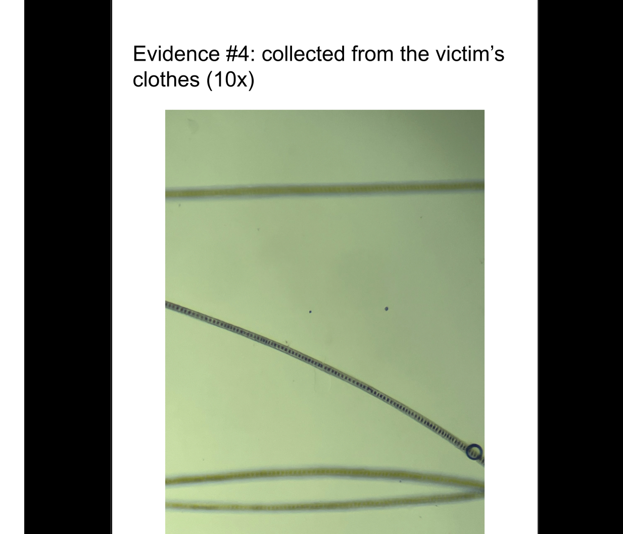 Solved Evidence \#2: collected from the victim's tent | Chegg.com