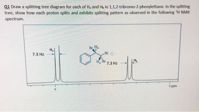 Solved Q1 Draw a splitting tree diagram for each of Ha and | Chegg.com