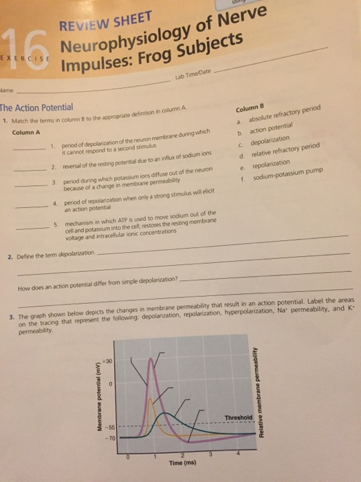 Solved 16 Neurophysiology of Nerve Impulses: Frog Subjects | Chegg.com
