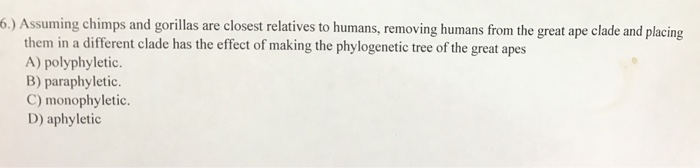 Solved Assuming chimps and gorillas are closest relatives to | Chegg.com