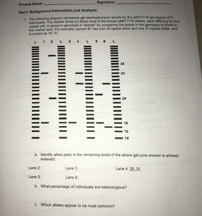 Solved Signature: Printed Name: Part I: Background | Chegg.com