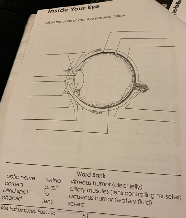 32 How To Label Parts Of A Picture In Word Labels Database 2020