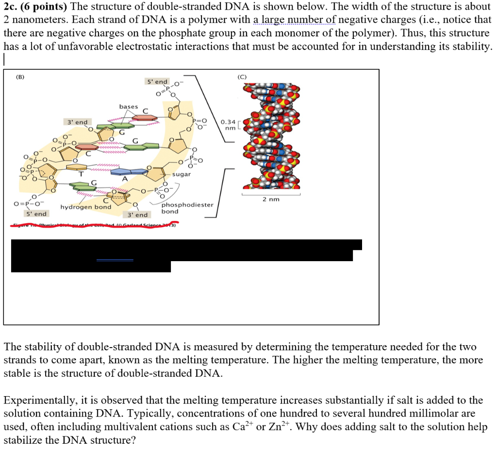 Solved 2c. (6 points) The structure of double-stranded DNA | Chegg.com