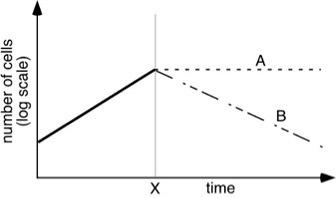 Solved A bacterial culture was growing in log phase as shown | Chegg.com