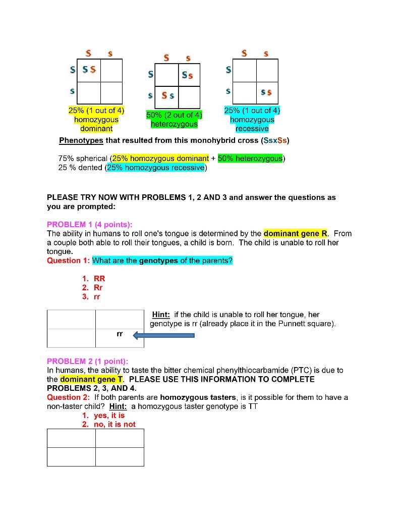 Solved BIO 181 - GENETICS PROBLEM SET NAME: MONOHYBRID | Chegg.com