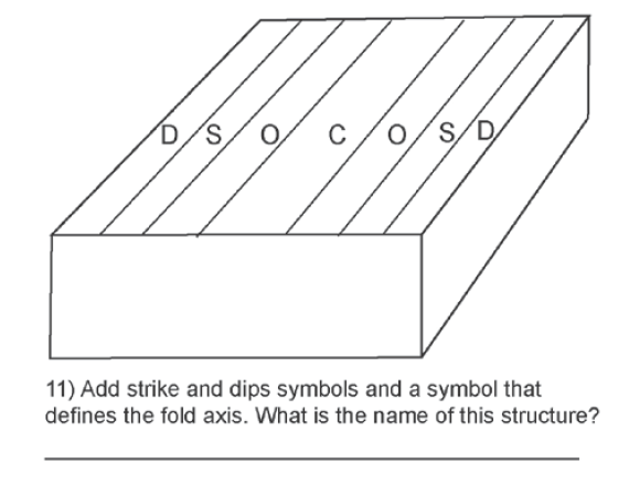 Solved DS O C o SD 11) Add strike and dips symbols and a | Chegg.com