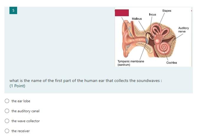 Solved A sound wave produced from a vibrating bell is heard | Chegg.com