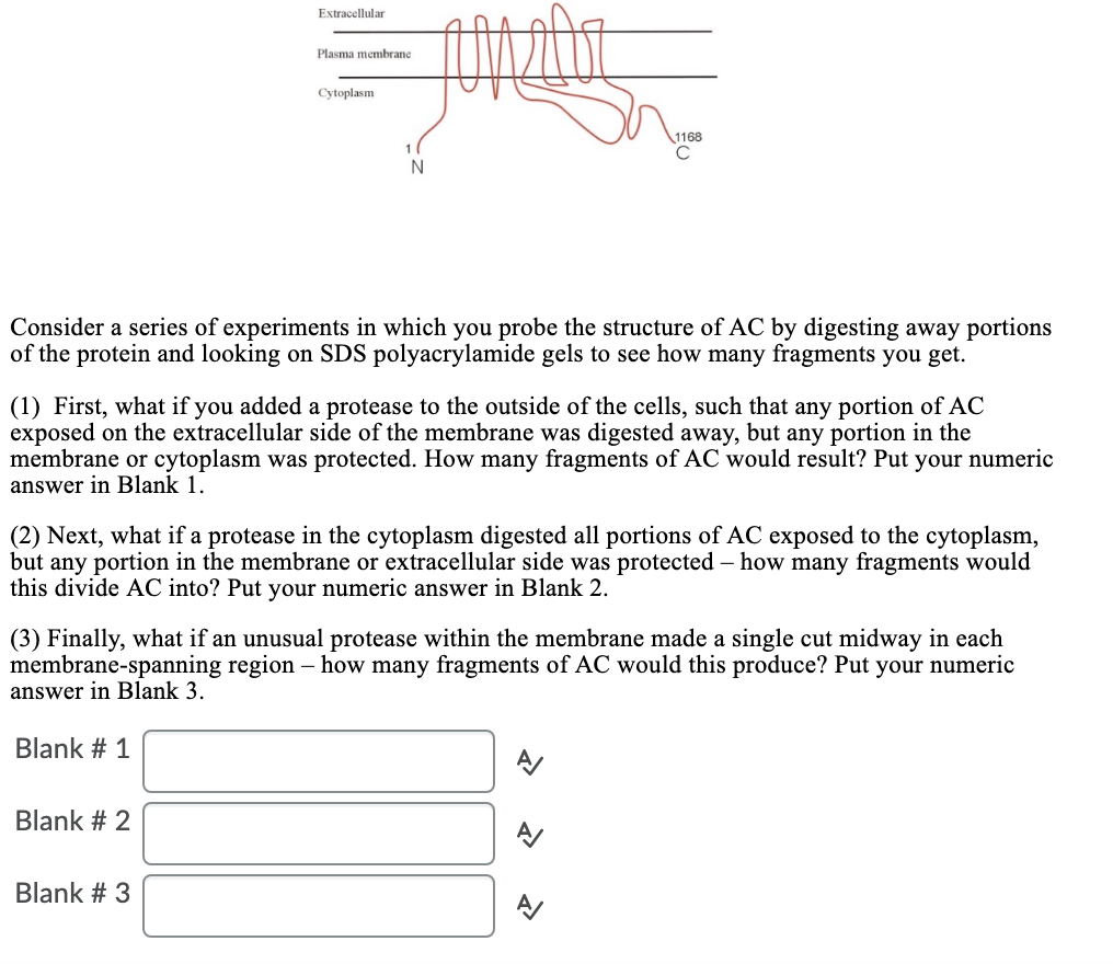 Solved These two diagrams below again show two different | Chegg.com