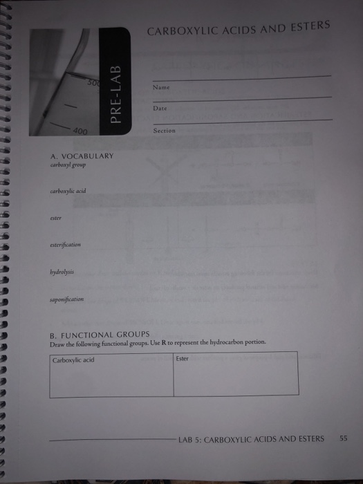 Solved CARBOXYLIC ACIDS AND ESTERS Name Date Section A. | Chegg.com