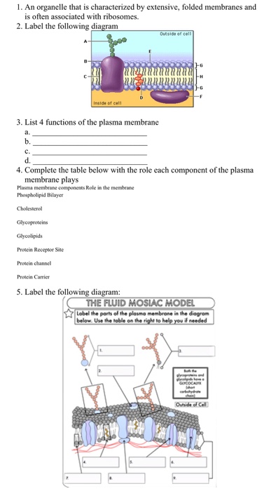 Solved 1. An organelle that is characterized by extensive, | Chegg.com