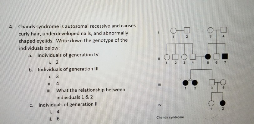 Solved · 09 99 4. Chands syndrome is autosomal recessive and | Chegg.com