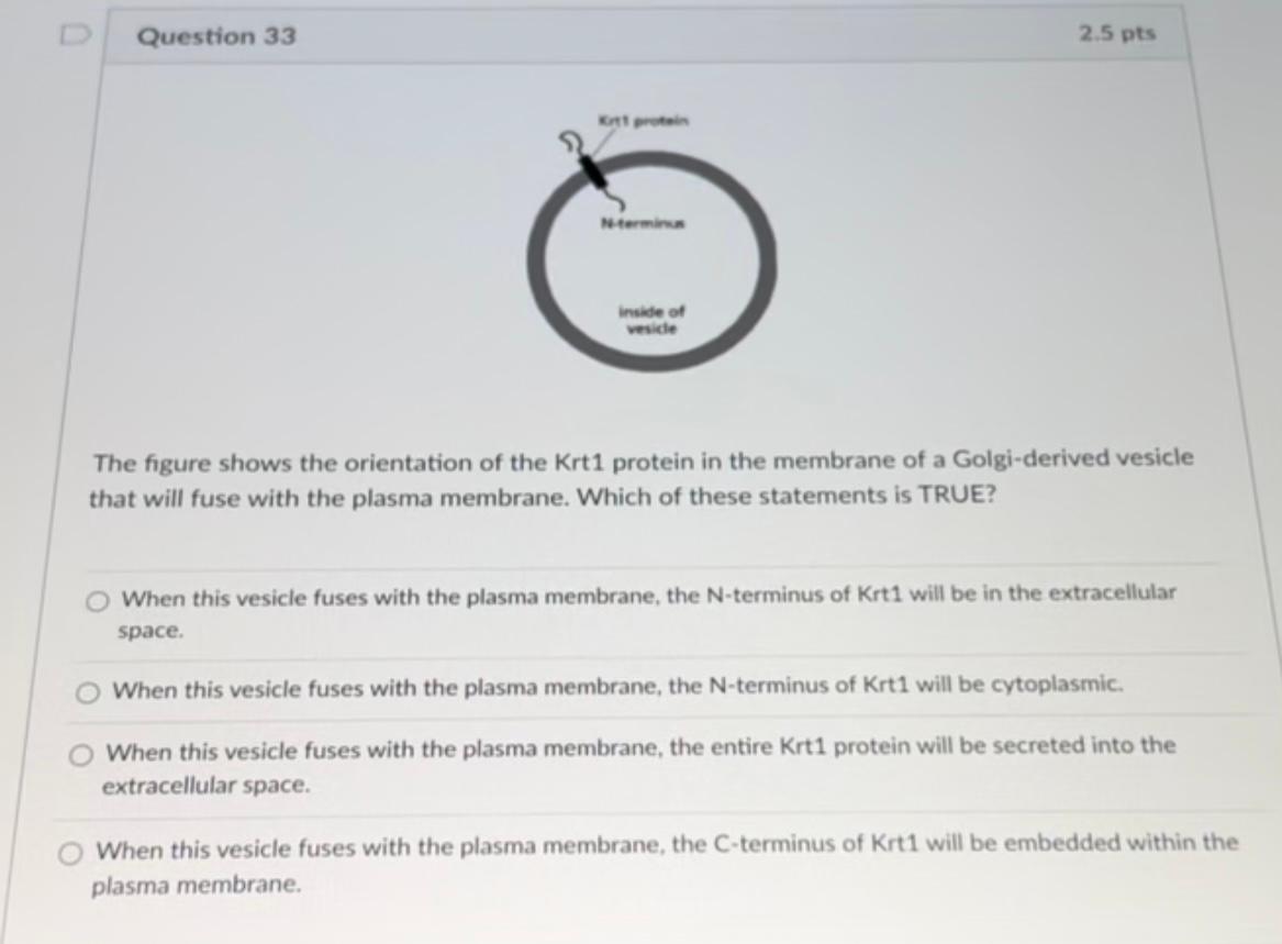 Solved Question 33 2.5 pts N-termins inside of veside The | Chegg.com