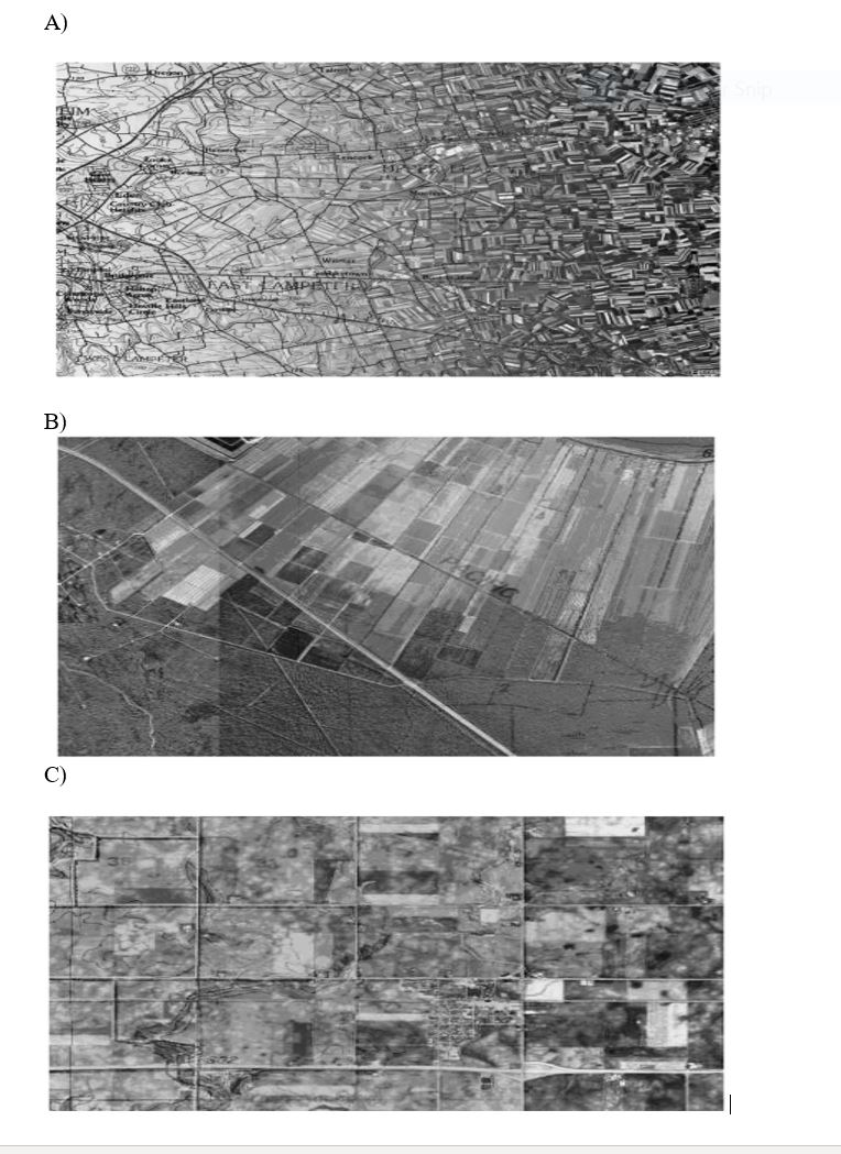 Solved Identify and describe the land partitioning | Chegg.com