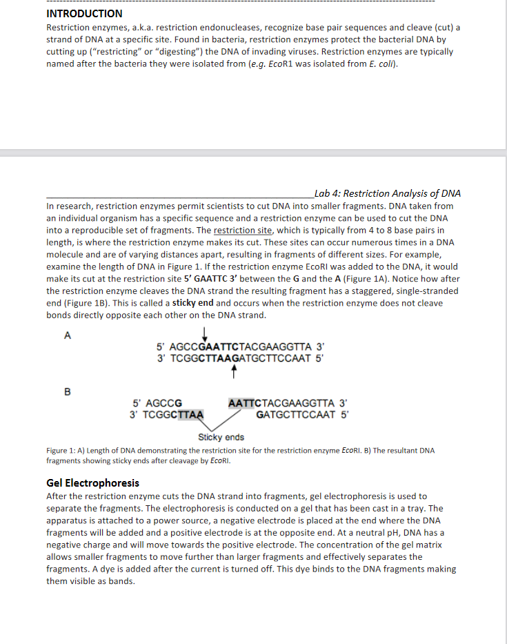 Laboratory 4: Restriction Analysis of DNA . Learning | Chegg.com