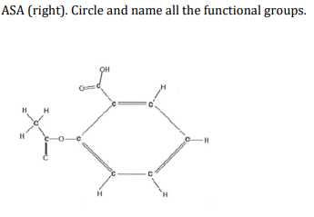 Solved ASA (right). Circle and name all the functional | Chegg.com