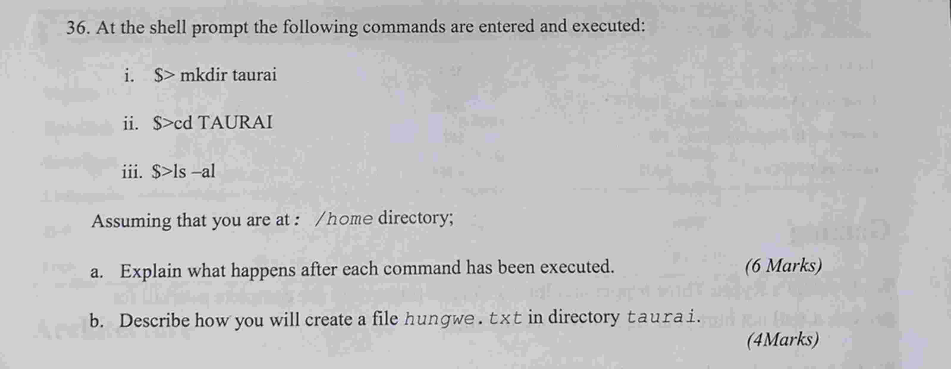 Solved At ﻿the shell prompt the following commands are | Chegg.com